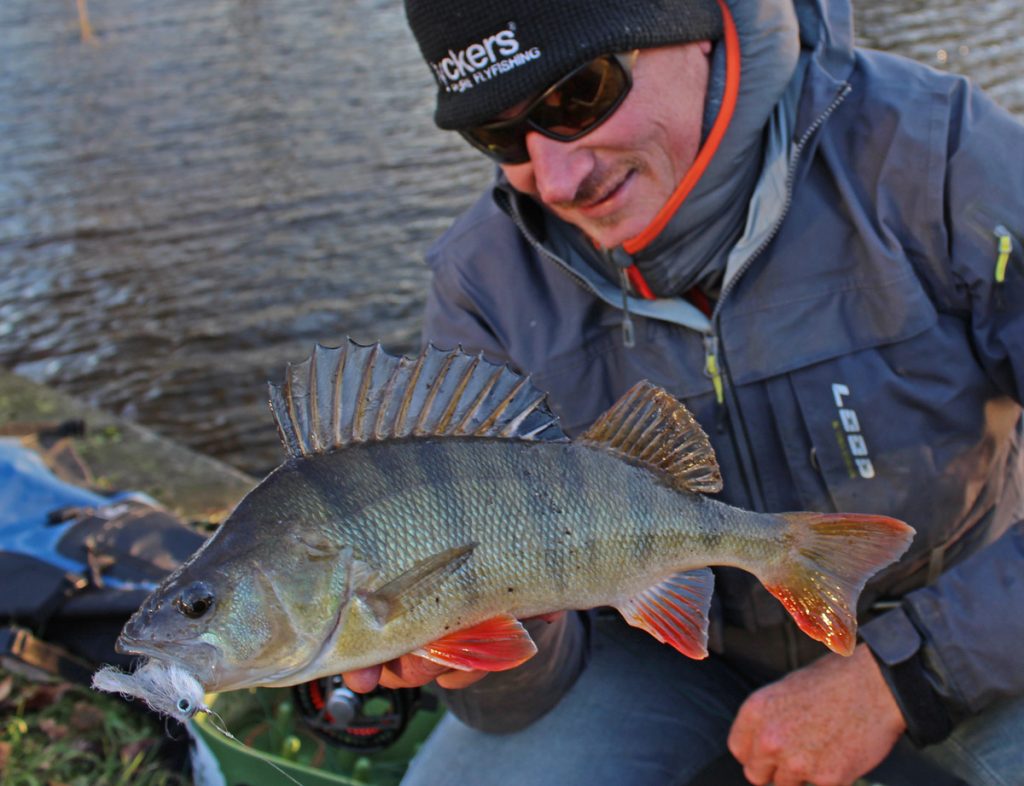 Dyckers Perch&Bass - Dyckers